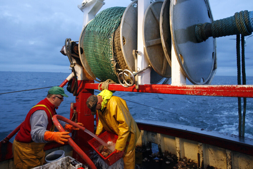Meilleurs Types de Filets de Pêche pour les Amateurs en France - Guide ...