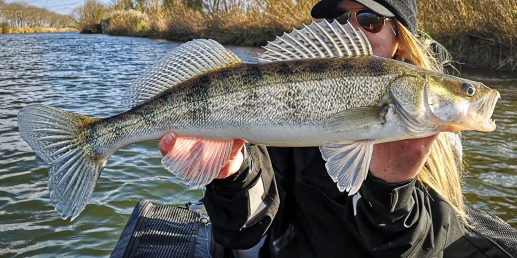Guide Ultime de la Pêche du Sandre au Posé en France - Techniques et ...