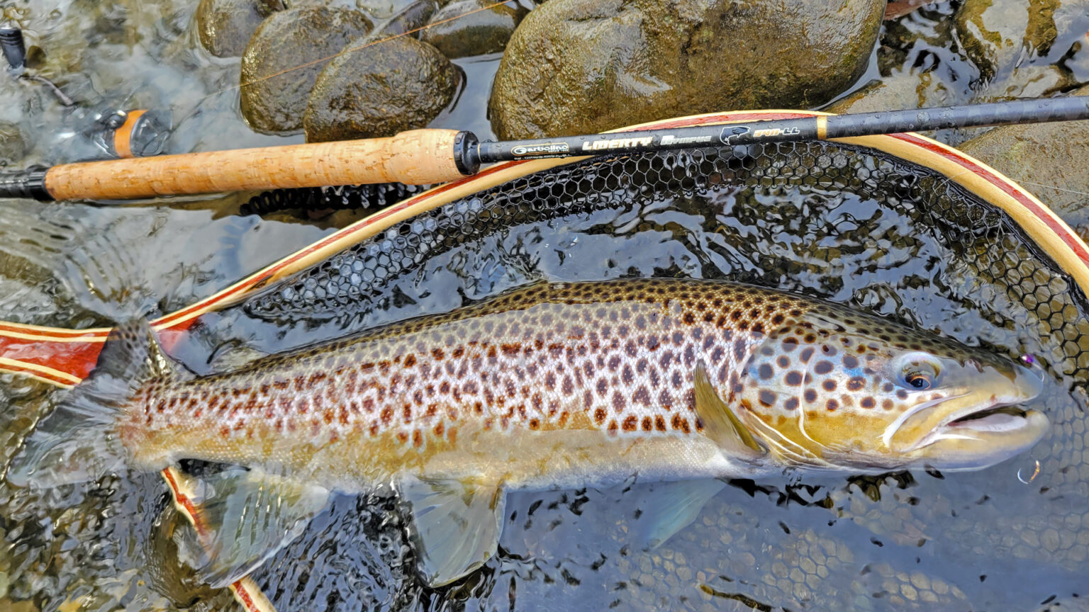 Comment Pêcher la Truite en Rivière en France : Guide Complet pour Débutants et Experts | ffpml.fr