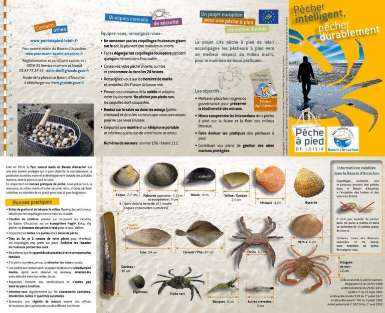 Réglementation Pêche à Pied dans la Manche: Guide Complet pour la ...