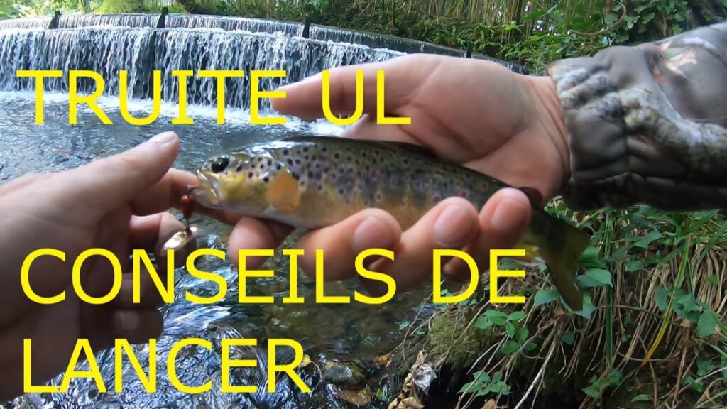 Guide Complet de la Pêche à la Truite en Pisciculture en France: Techniques et Conseils | ffpml.fr
