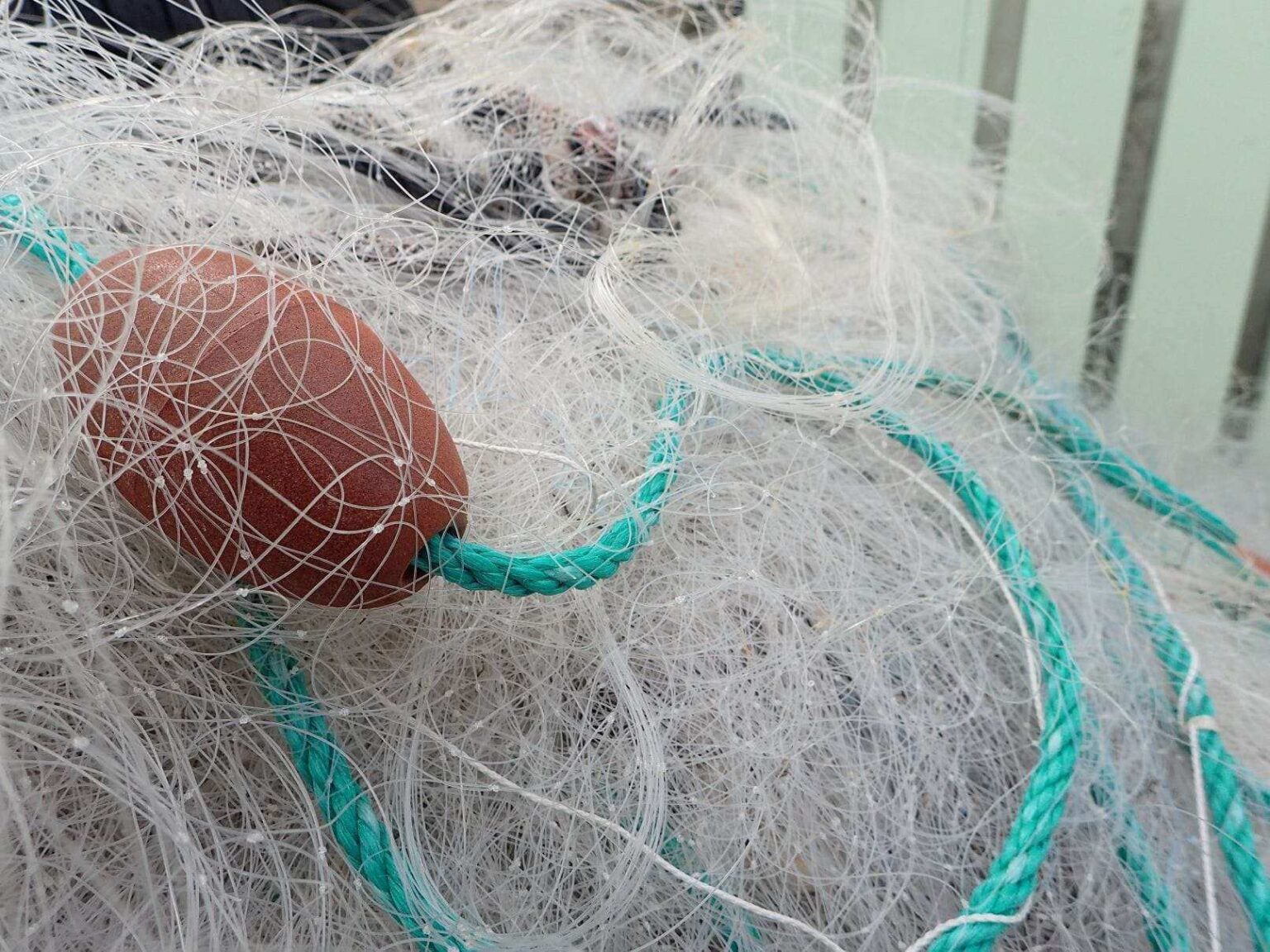 Meilleurs Types de Filets de Pêche pour les Amateurs en France - Guide ...